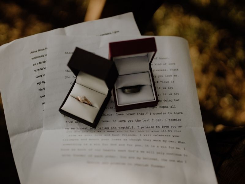 An Understated Dominance by Marina Vittori Review (Latest & Hot ...